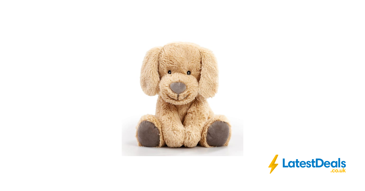 Snuggle Buddies 32cm Friendship Dog, £8 at The Entertainer
