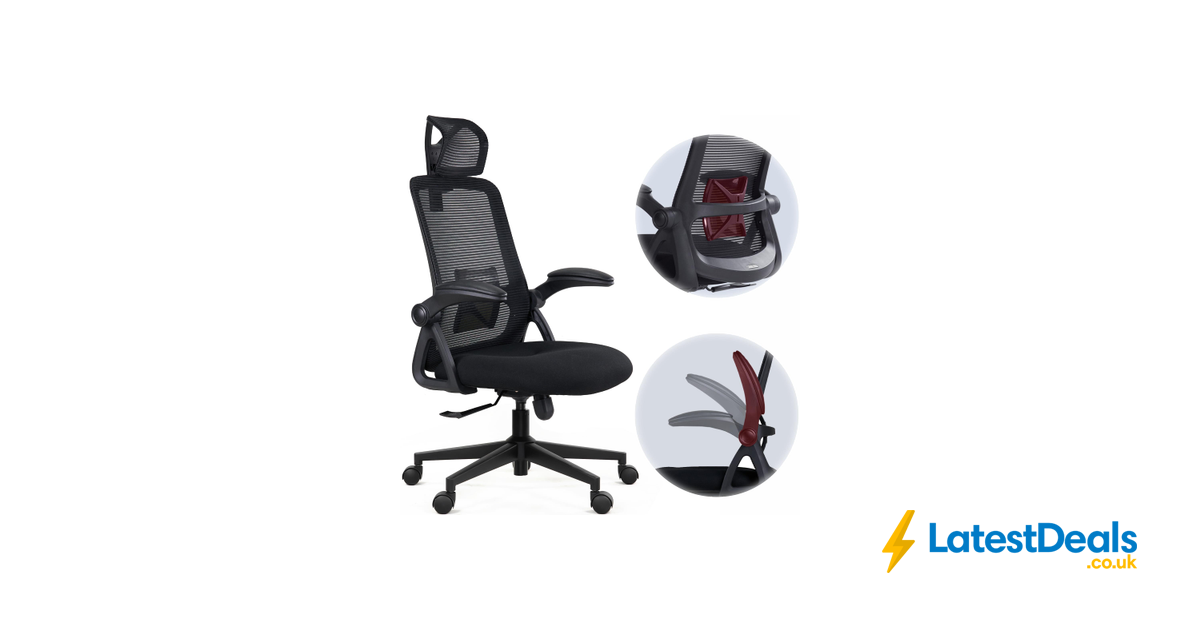 Ergonomic Office Chair with Adjustable Lumbar and Flip-up Armrests, £ ...