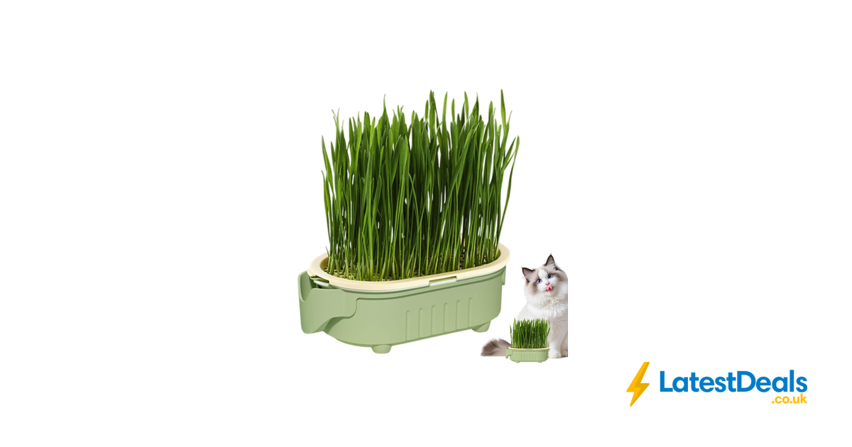 DEAL STACK - Hydroponic Cat Grass Pot - Soil-Free Planter for Pets, £4. ...
