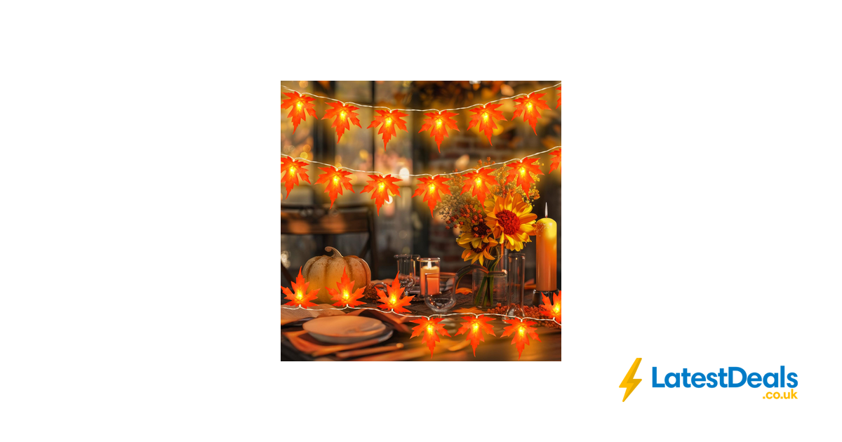 Autumn Maple Leaf LED String Lights with Timer, Battery Operated, £2.97 ...