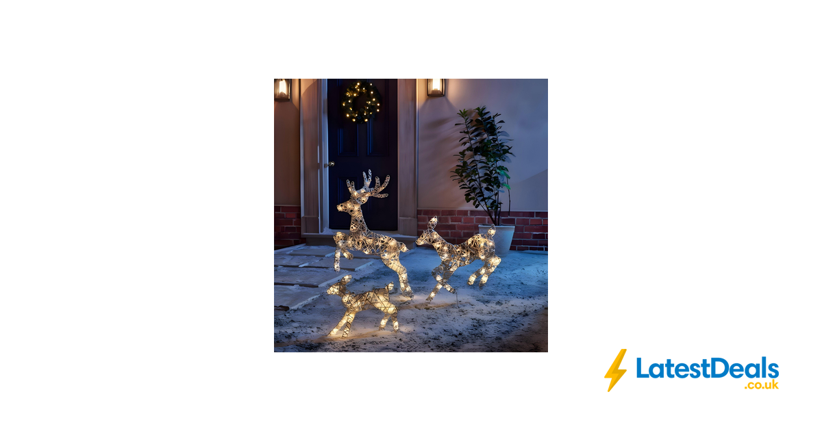 LED Reindeer Set - 3 Pieces, White, One Size, £24.99 at Frasers