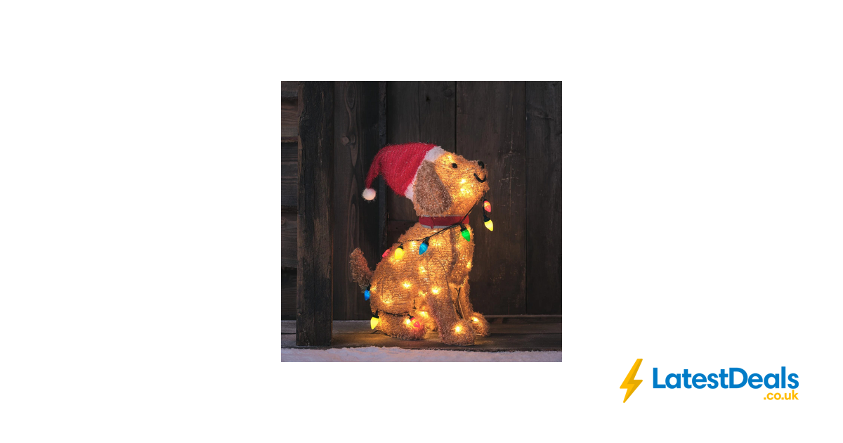 53cm Dolly the Christmas Dog with Fairy Lights LED 3D Fabric Figure, £ ...