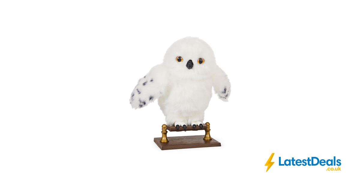 Interactive Hedwig Harry Potter Owl with 15 Sounds and Movements, £24. ...