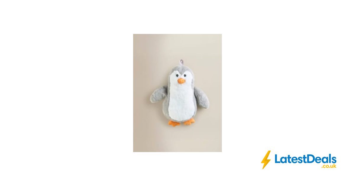 Penguin Winter Warmers Hot Water Bottle, £3 at ASDA